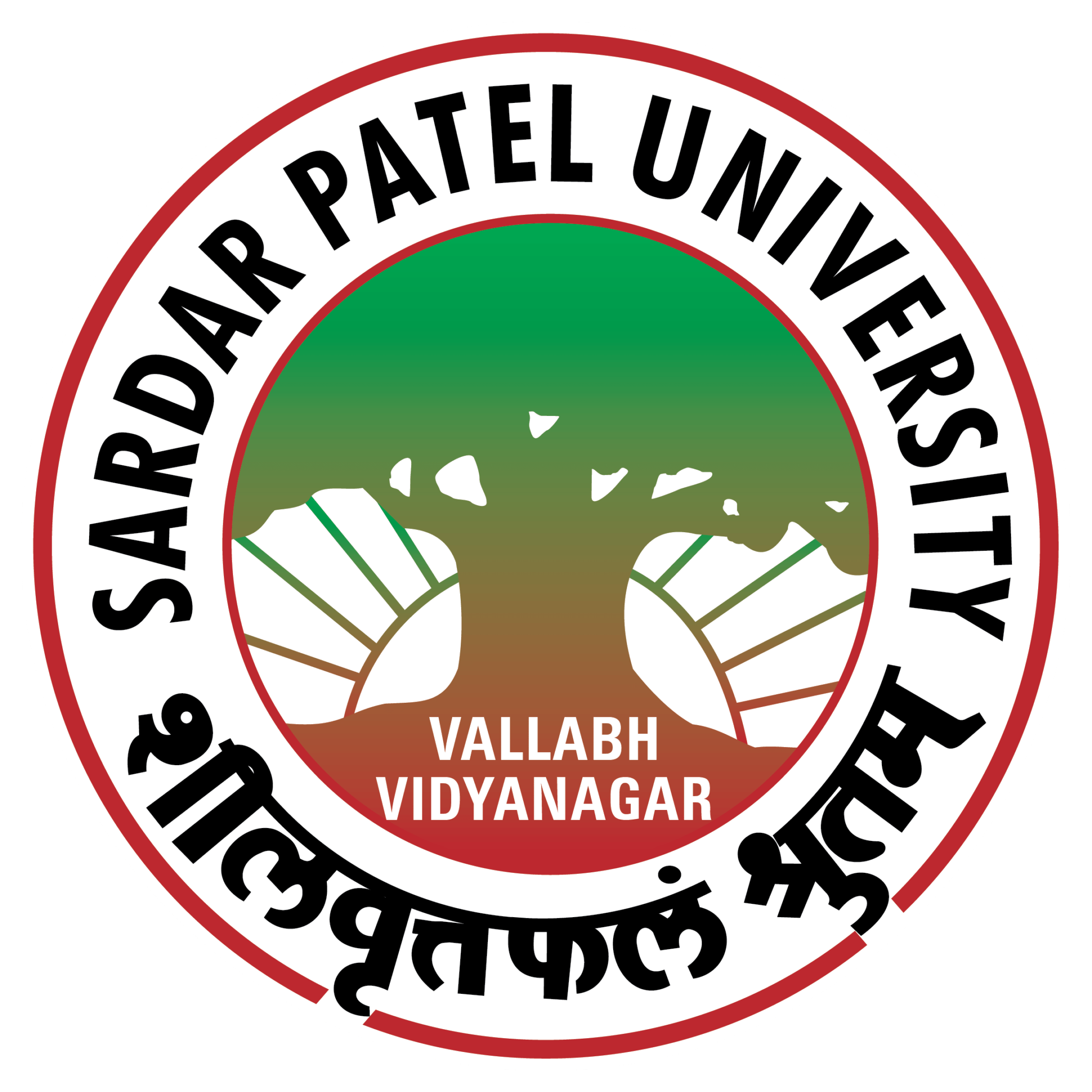 Sardar Patel University, The public state university